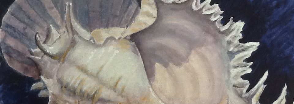 The Art of Bob Webster - Rupert's Land News