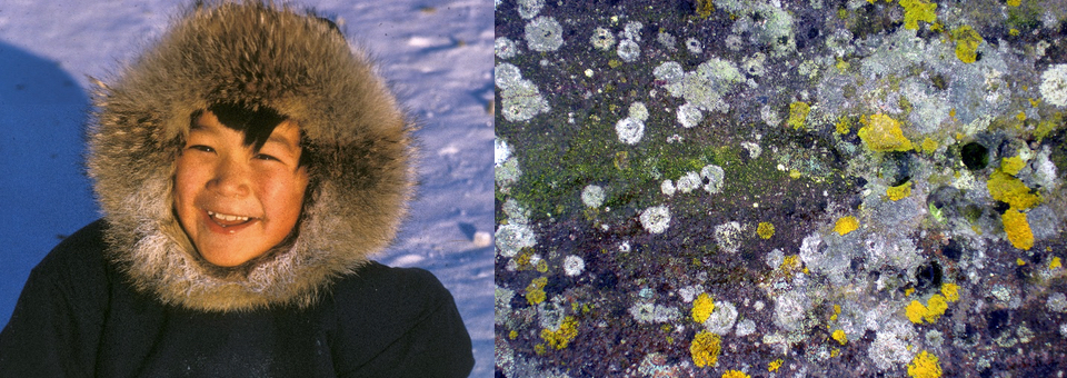 Mukluks and Giggles: My Year at Stringer Hall - Rupert's Land News